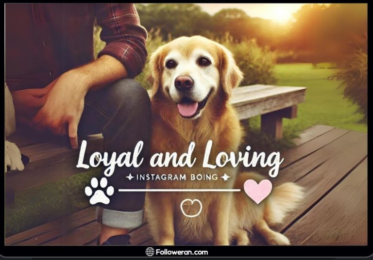 Best Dog Instagram Bio Ideas (funny, Cute & Memorable)