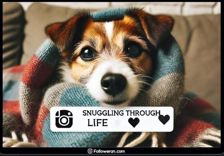 Best Dog Instagram Bio Ideas (funny, Cute & Memorable)