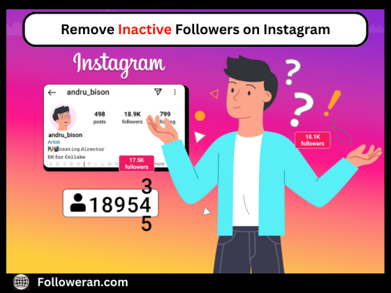 How to Remove Inactive Followers on Instagram?